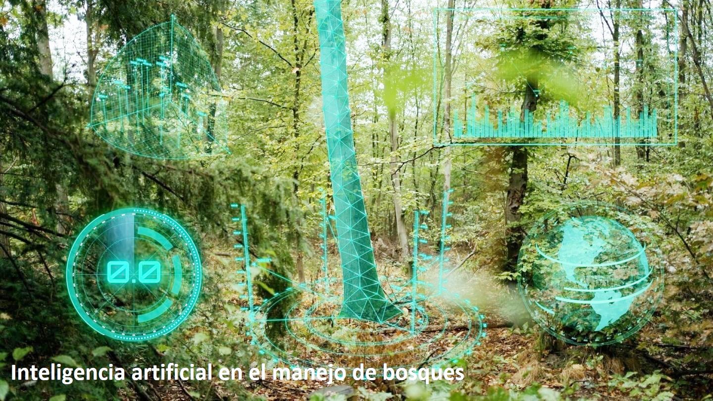 La inteligencia artificial (IA) en el ámbito forestal – El Heraldo