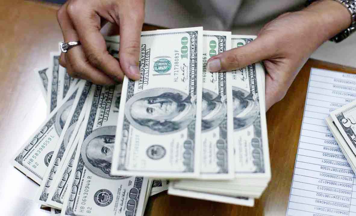 El Gobierno habría comprado los dólares para el pago de deuda de enero ...